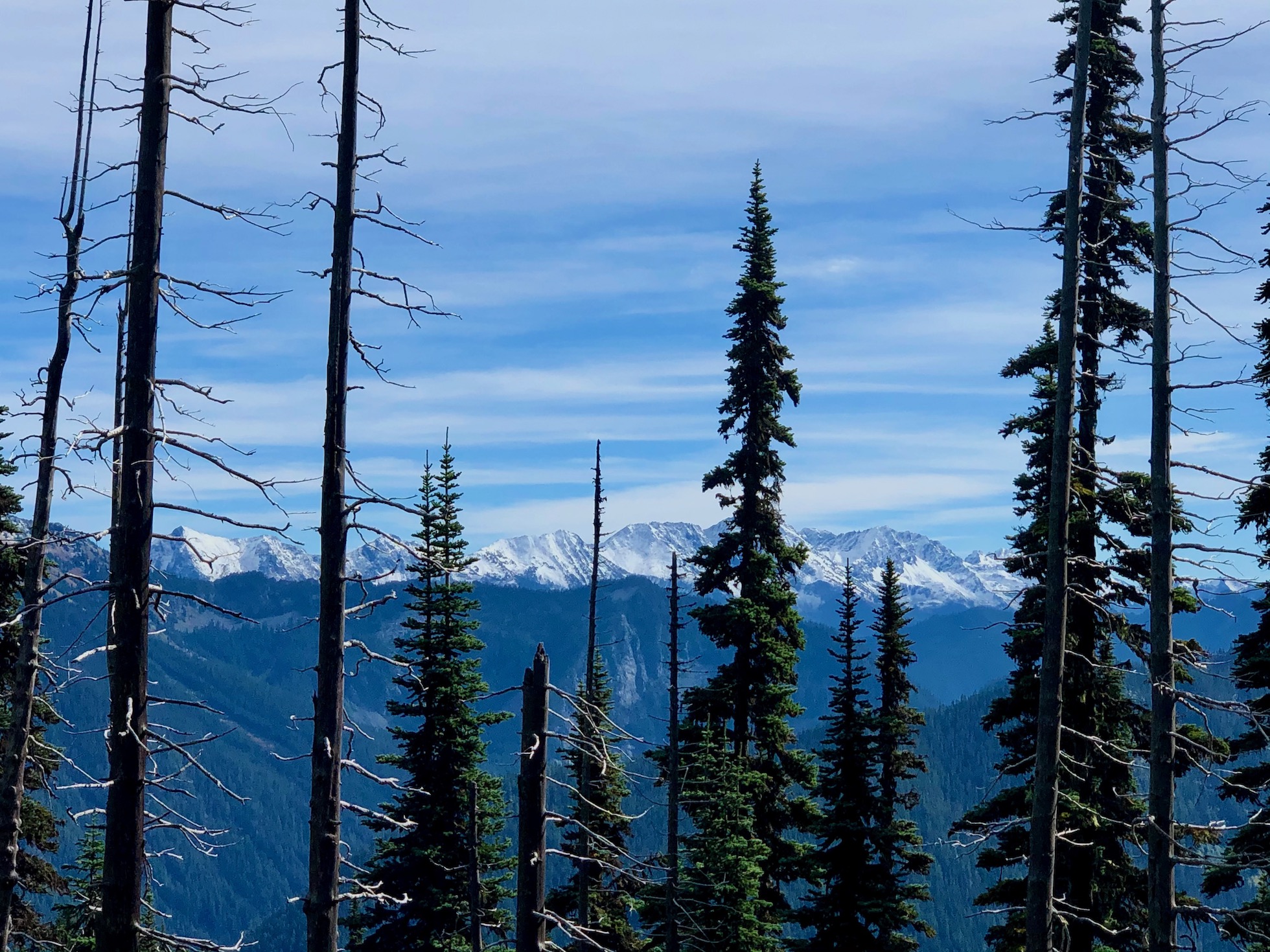 Three Months on the Road: Pacific Northwest - CLIPPING CHAINS